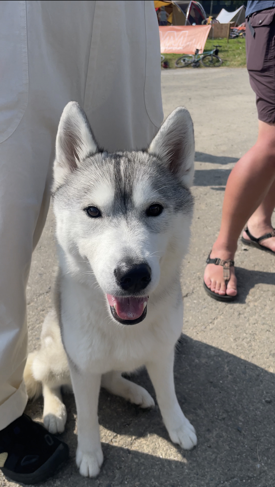 OMM参加 2日目 | TAS CYCLE – タスサイクル